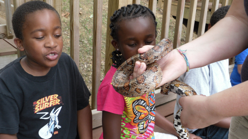 Museum Collaborative Partner Profile: The Mill Mountain Zoo | National ...
