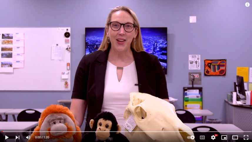 Check out the latest videos on NCSE's YouTube channel | National Center ...