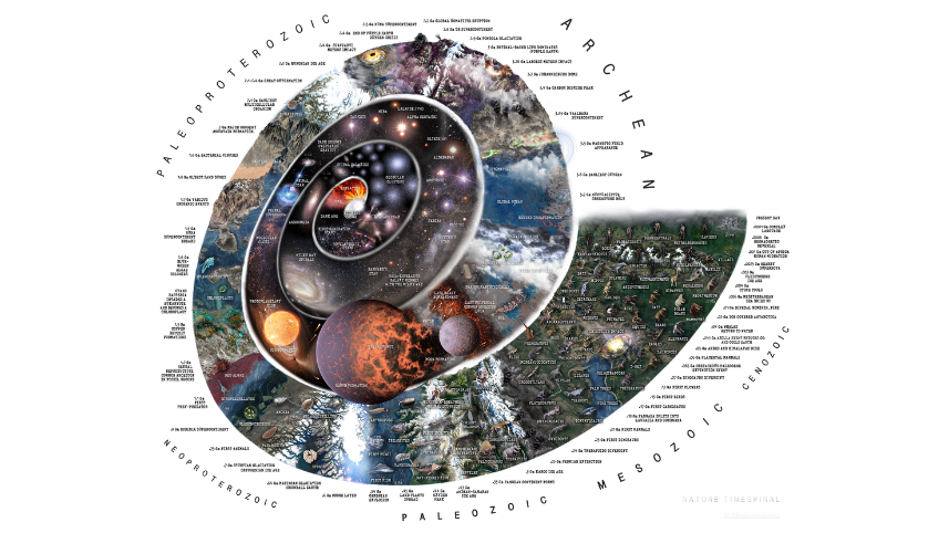 A multi-country public opinion survey on evolution | National Center ...