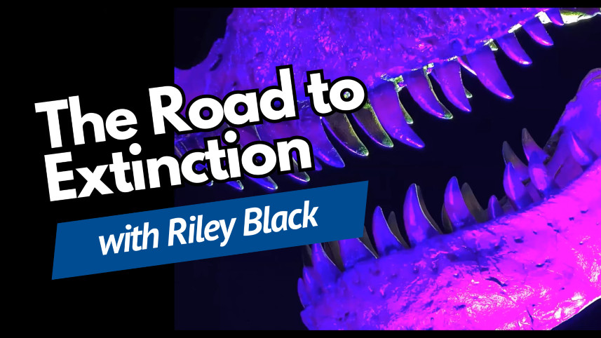 The Road to Extinction | National Center for Science Education
